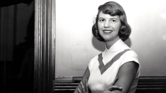 “Tulip” – Sylvia Plath | Nguyễn Huy Hoàng